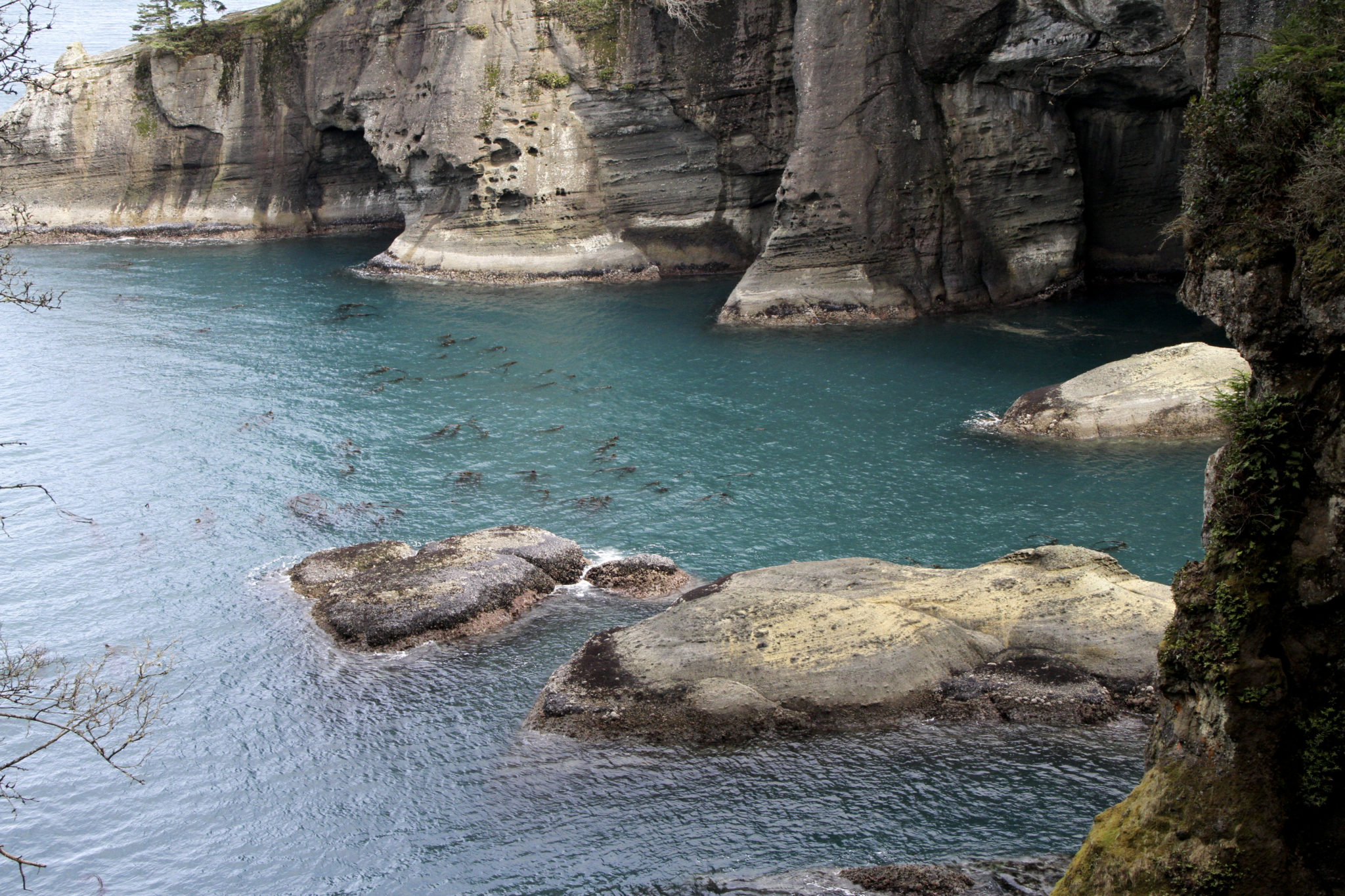 Experience the Magic of the Olympic Peninsula - Further