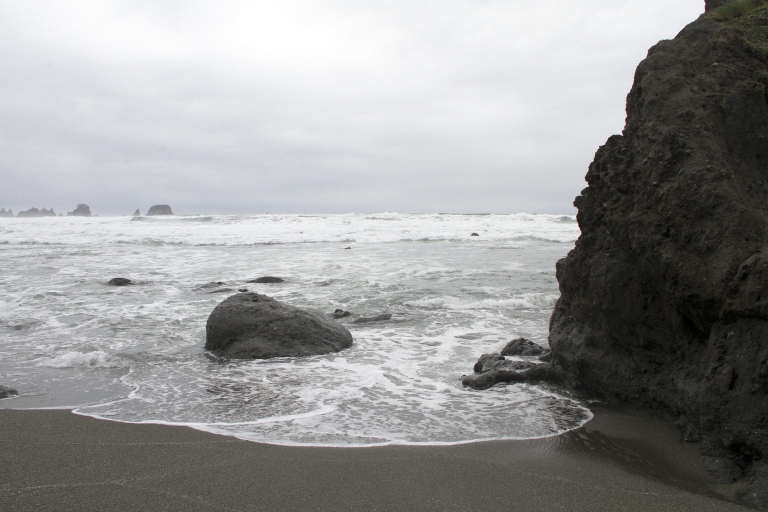 Experience the Magic of the Olympic Peninsula - Further